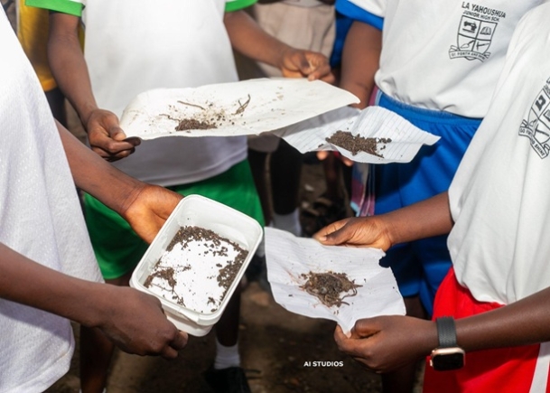 Digging deep and planting hope: How eco-schools Ghana brought global ...